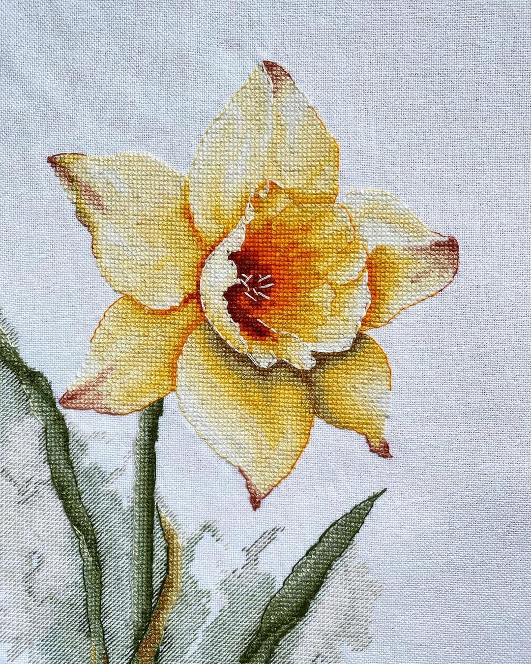 Cross Stitch Kit Daffodil, Traditional Floral Pattern Cross Stitch ...