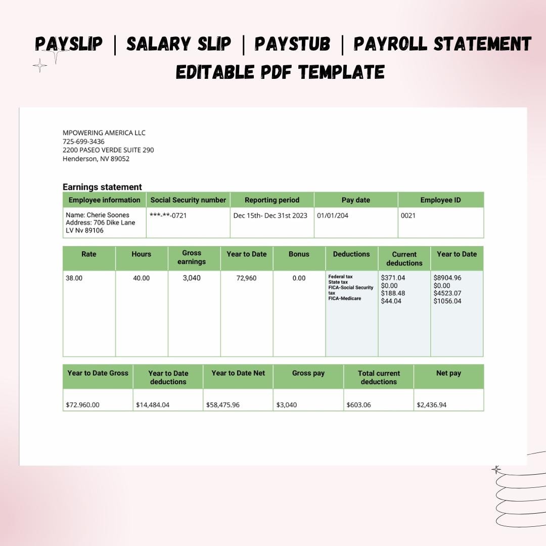 Employee Payslip | Salary Slip | Paystub | Payroll Statement - Proof of Income - Source of ...