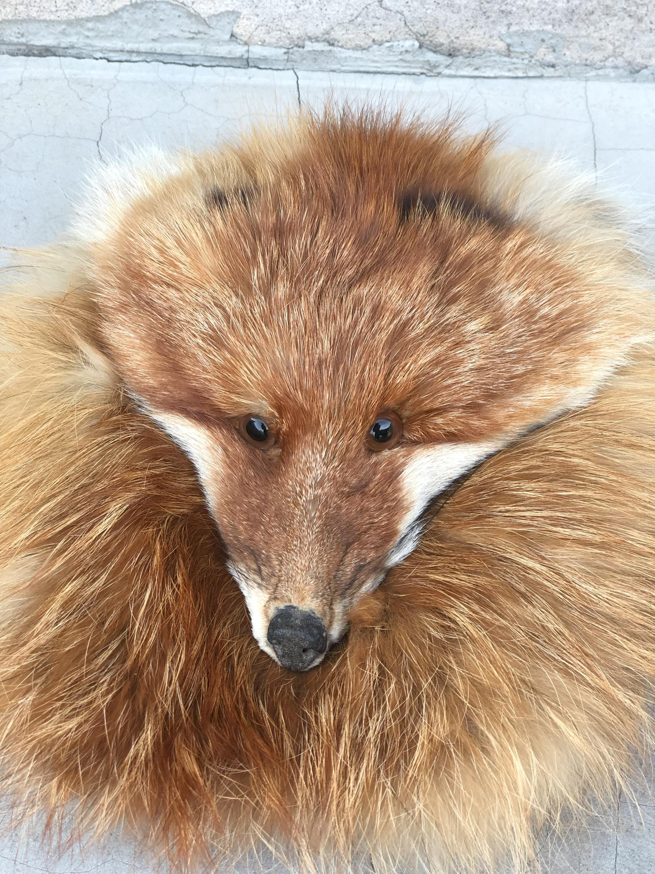 Scottish Traditional Highland Fox Face Fur Leather Kilt Sporran With ...