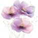 Purple and Pink Watercolor Floral Clipart – 5 Elegant Pngs With Gold ...