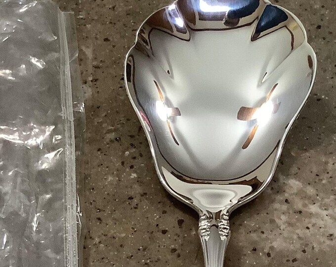 Vintage Oneida Brahms Stainless Shell Casserole Spoon - Etsy