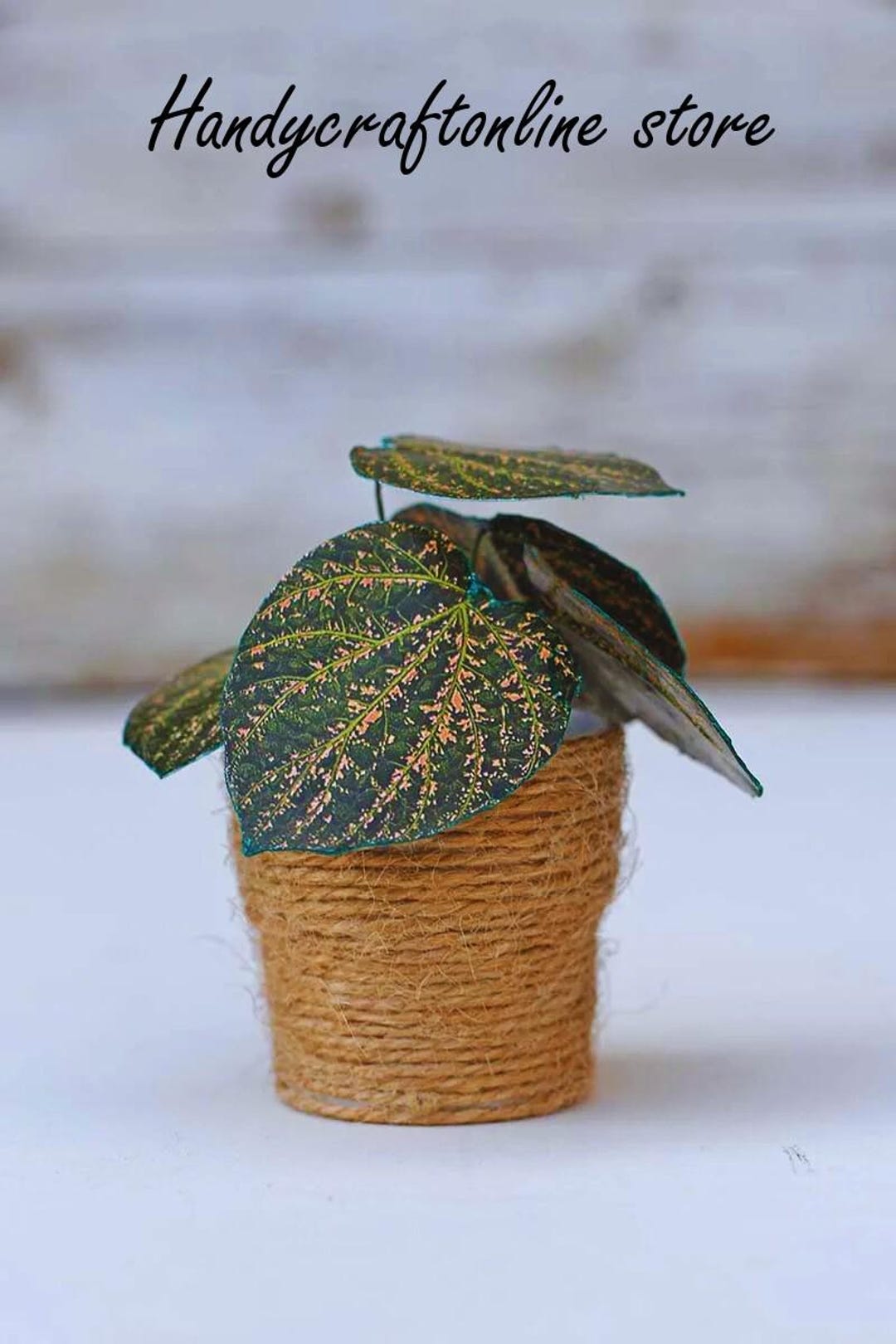 Miniature Paper Plants Printable 1:12 DIY Template - Etsy