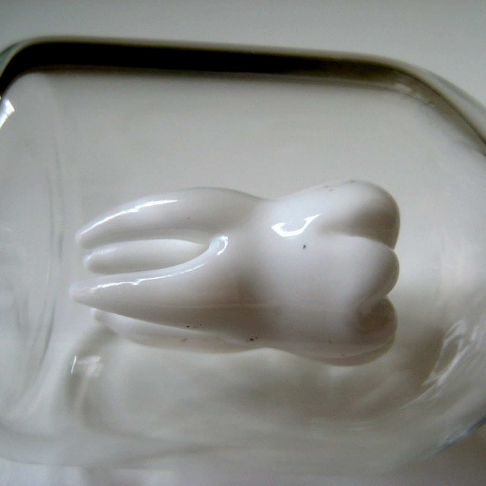 Tooth in a Jar Hand Blown Glass Life Sized Molar - Etsy