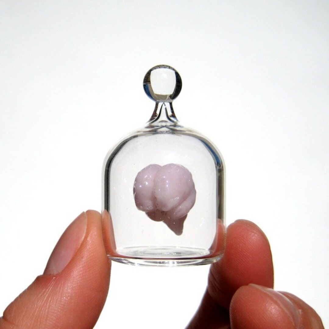 Brain in a Jar, Hand Blown Glass Miniature, Anatomically Correct Brain ...