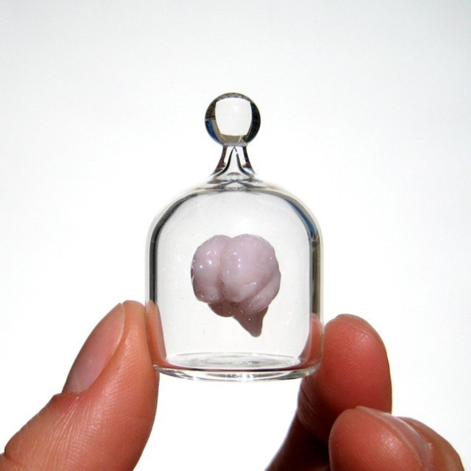 Brain In A Jar Hand Blown Glass Miniature Anatomically Etsy