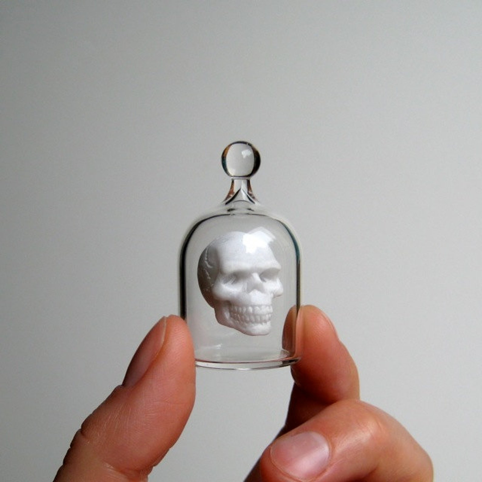 Miniature Skull in a Jar Human Skull in Hand Blown Glass - Etsy