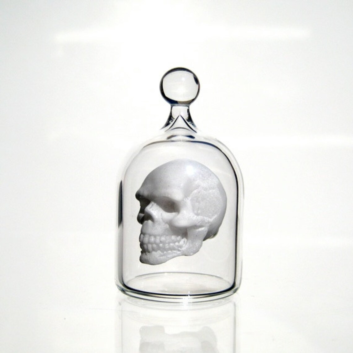 Miniature Skull in a Jar Human Skull in Hand Blown Glass - Etsy UK