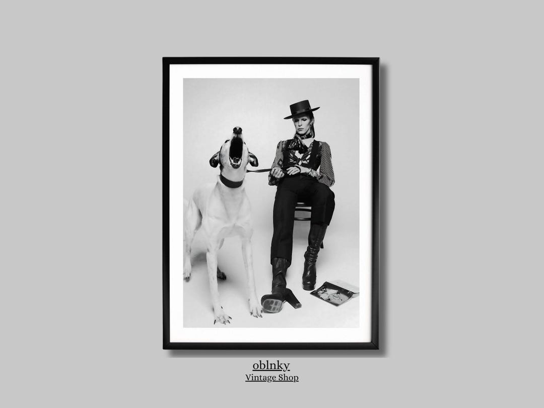 David Bowie Vintage Poster, Diamond Dogs Album Artwork Print, Barking ...