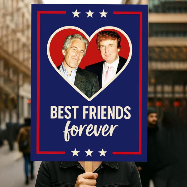 Trump Protest Signs Epstein - Etsy