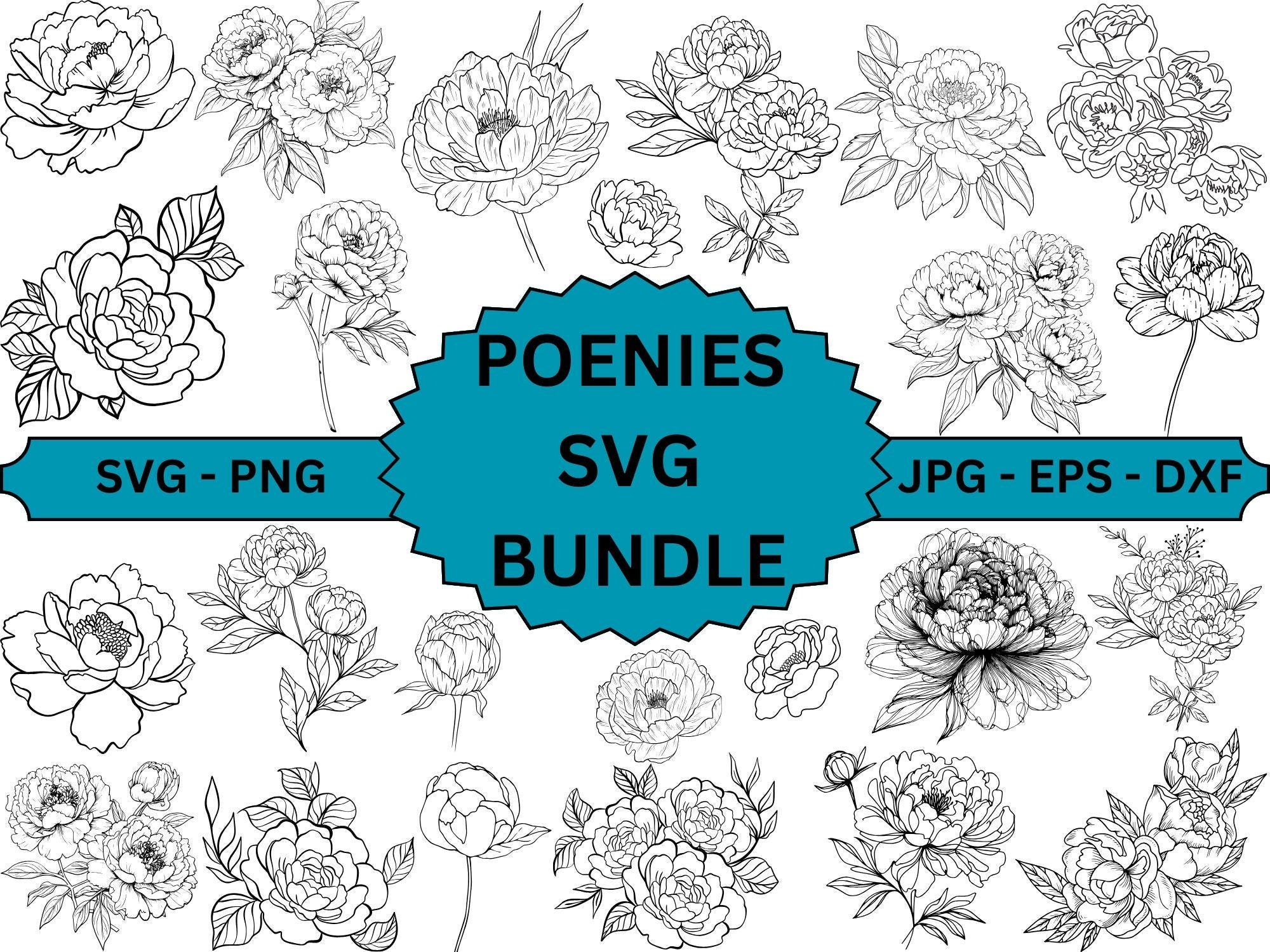 Peonies Svg Bundle,hand Drawn Floral Illustrations,floral Arrangement ...
