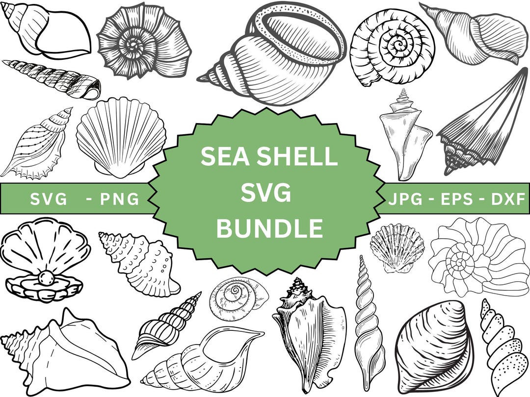 Seashell SVG Bundle,beach Embroidery Design,summer Line Art Embroidery ...