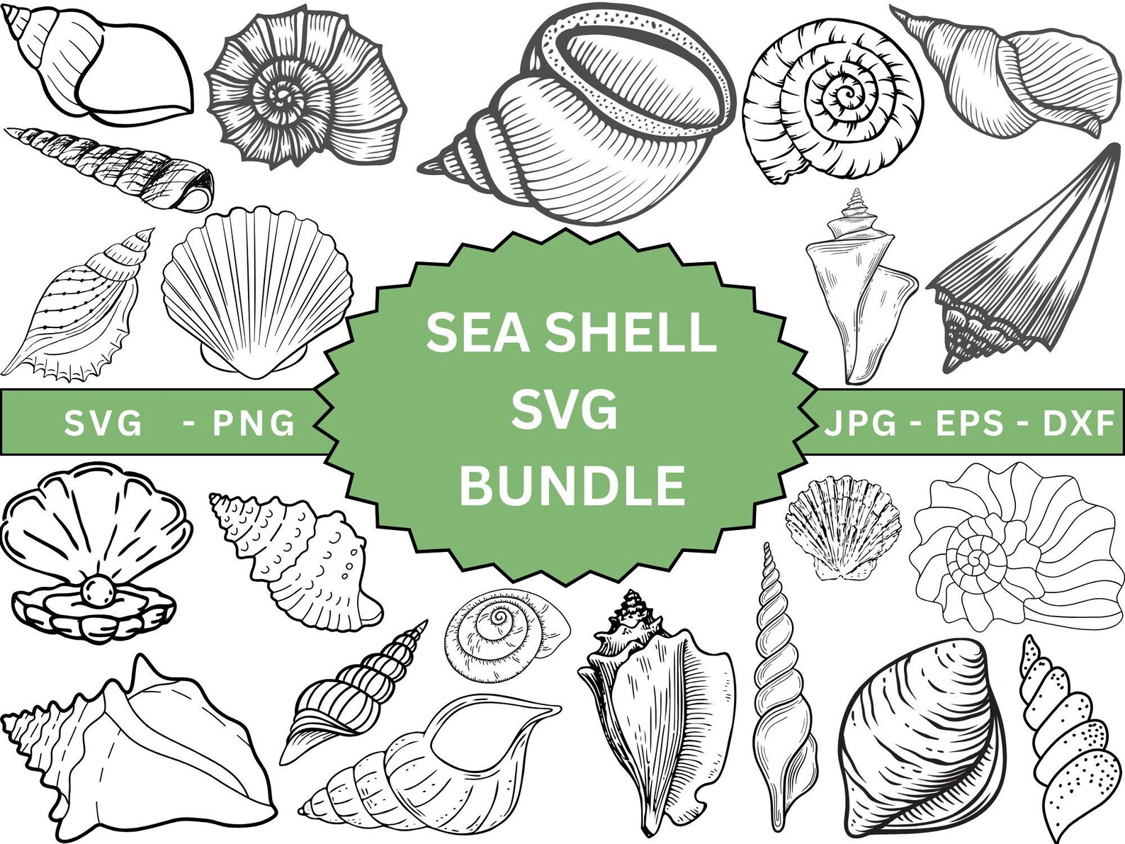 Seashell SVG Bundle,beach Embroidery Design,summer Line Art Embroidery ...