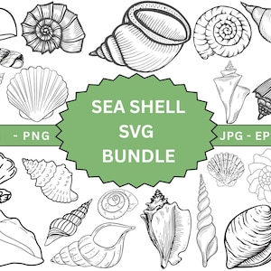 Seashell SVG Bundle,beach Embroidery Design,summer Line Art Embroidery ...