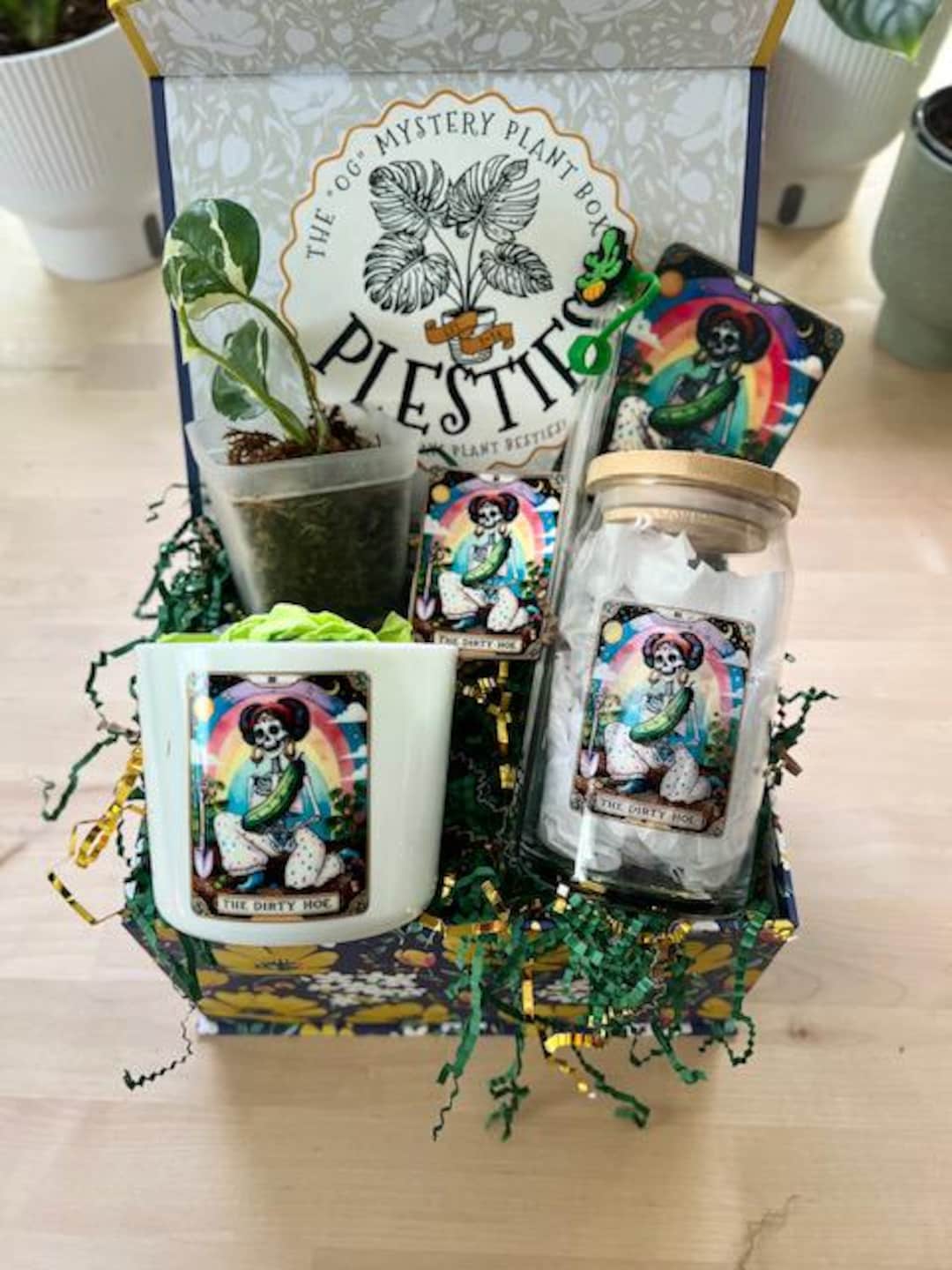 Plant Lover’s Box | Plant Lover Themed Gifts | Gardeners Gift | Cactus ...