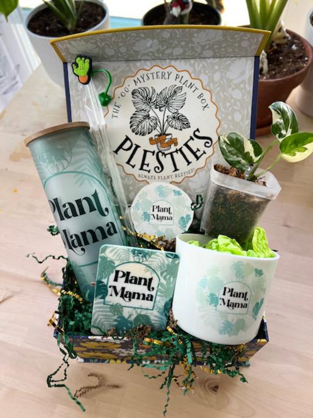 Plant Lover’s Box | Plant Mama Themed Gifts | Gardeners Gift | Cactus ...
