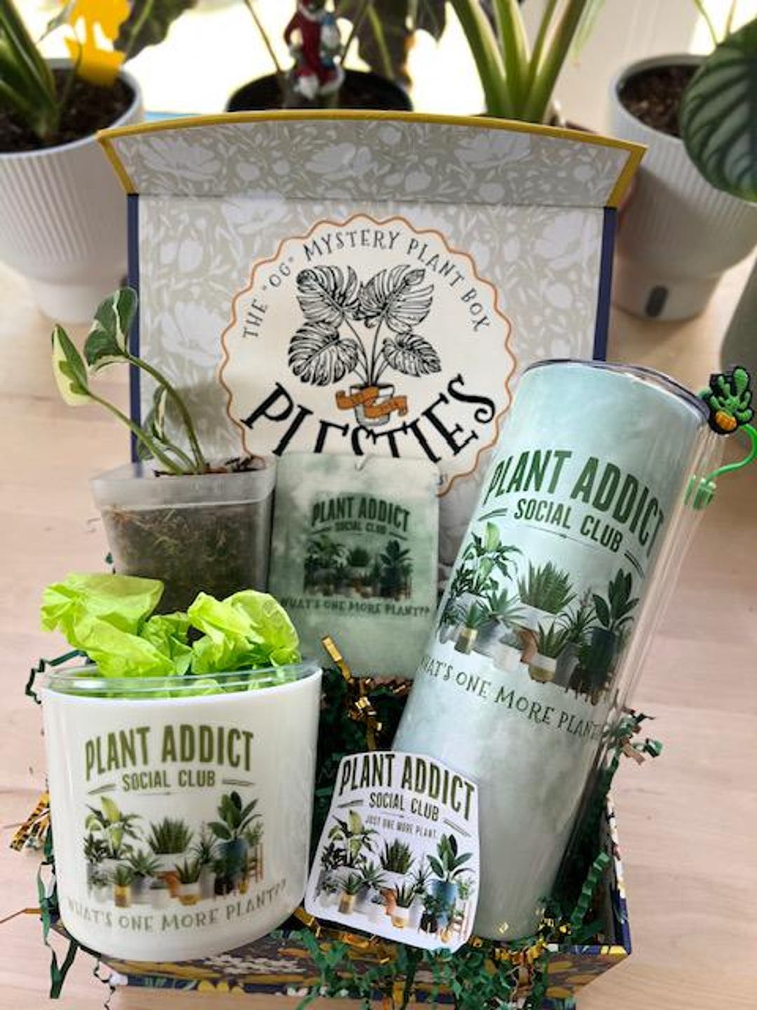 Plant Lover’s Box | Plant Mama Themed Gifts | Gardeners Gift ...