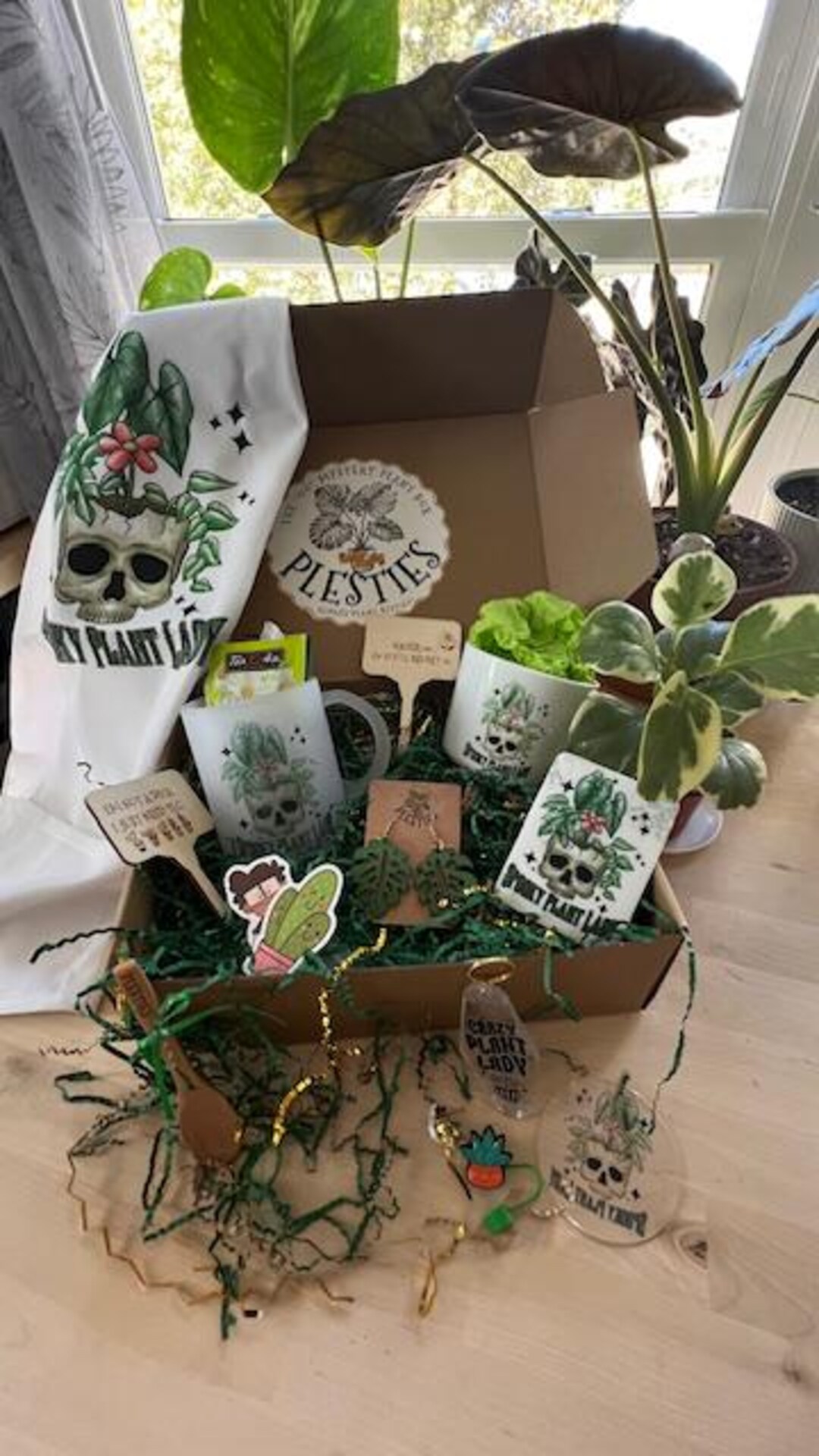 Surprise Gift, Bundle Box, Mother's Day, Plant Lover Gift Box, Mystery ...