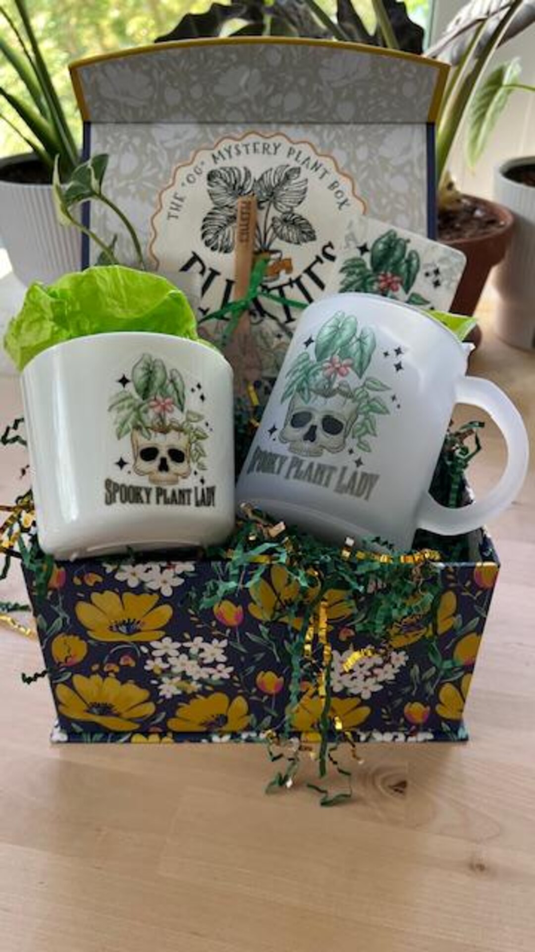 Plant Lover’s Box | Plant Lover Themed Gifts | Gardeners Gift | Cactus ...