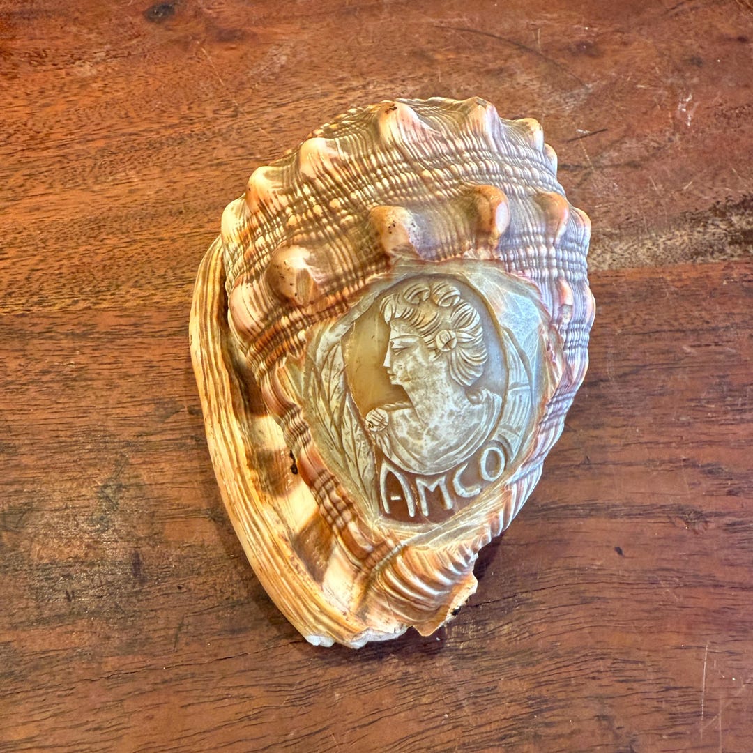 Antique 19th Century Victorian Hand Carved Seashell With Cameo AMCO ...