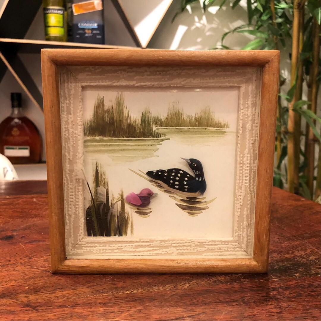 Vintage 1980's Loon Feather Art in Shadow Box Wall Hanging Bird Aviary ...