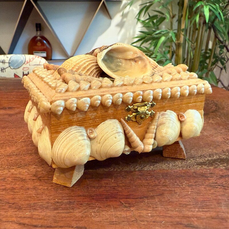 Seashell Box - Etsy