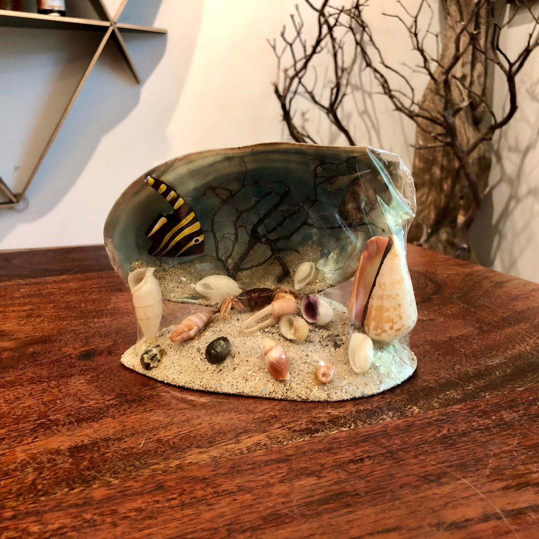 Vintage Filipino Seashell Art Souvenir Diorama Made in Philippines ...