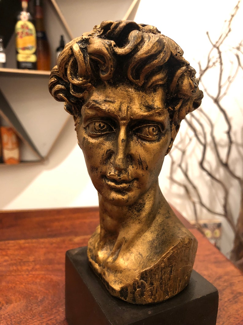 Vintage Michelangelo's Reproduction Statue of David Head - Etsy