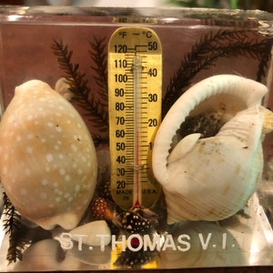Vintage St. Thomas Virgin Island Souvenir Thermometer With Snow Globe ...