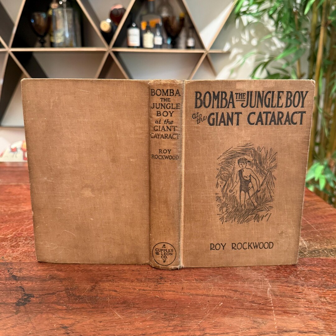 Antique C. 1926 Bomba the Jungle Boy at the Great Cataract or Chief ...