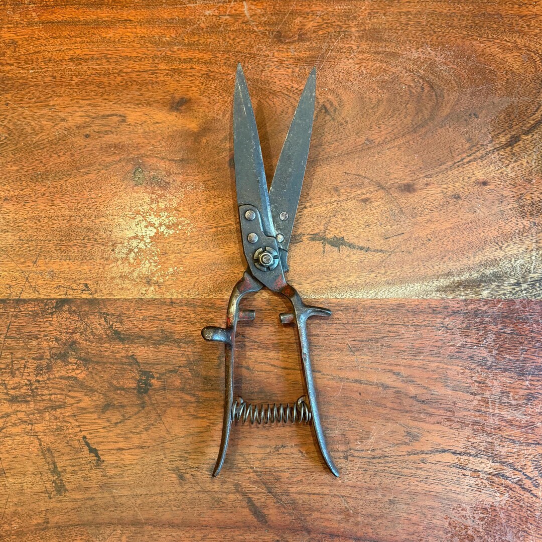 Mid Century Iron Garden Sheers - Works - Gardening Tools - Yard Plant ...