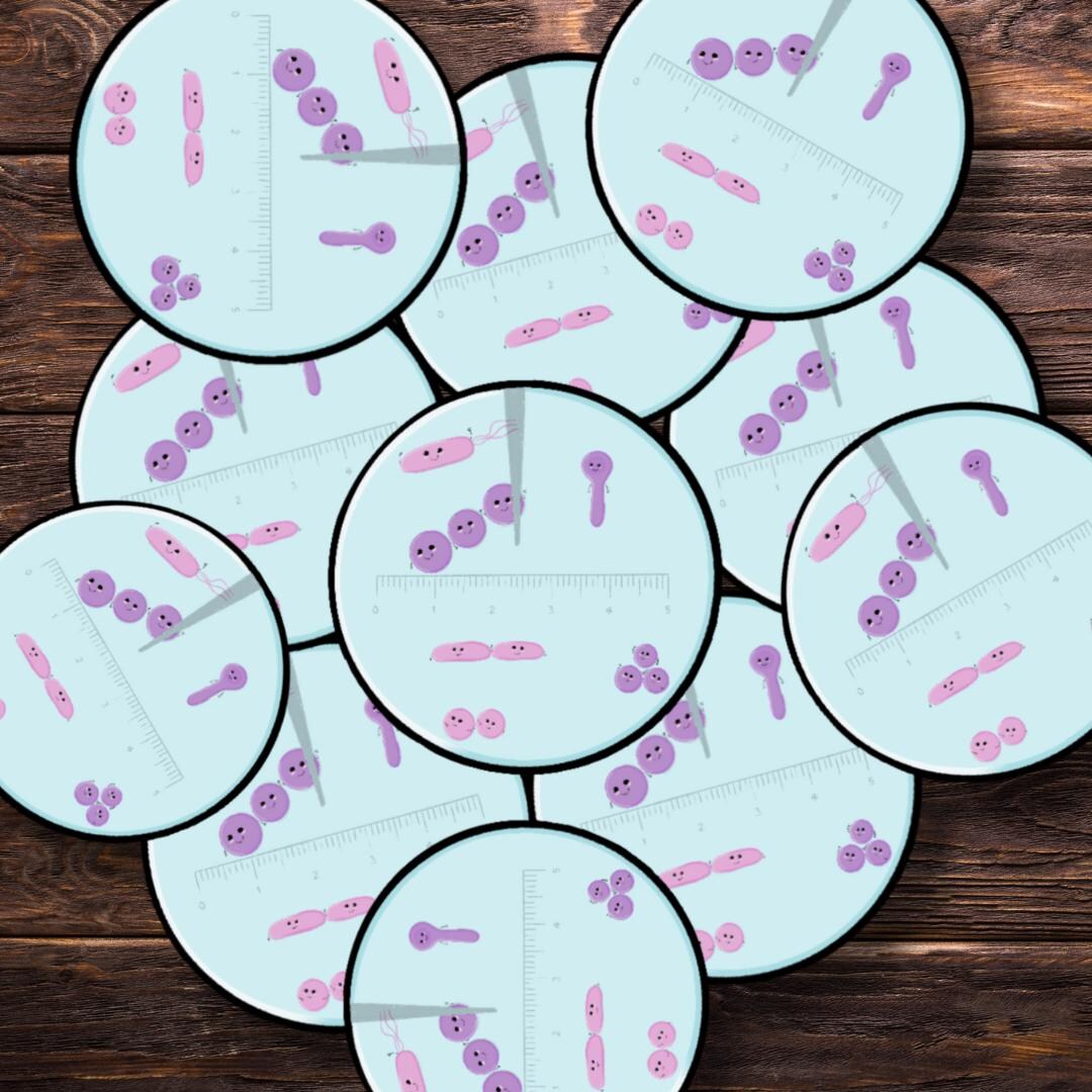 Microscope Slide Science Sticker, Vinyl, STEM, Laptop/water Bottle ...