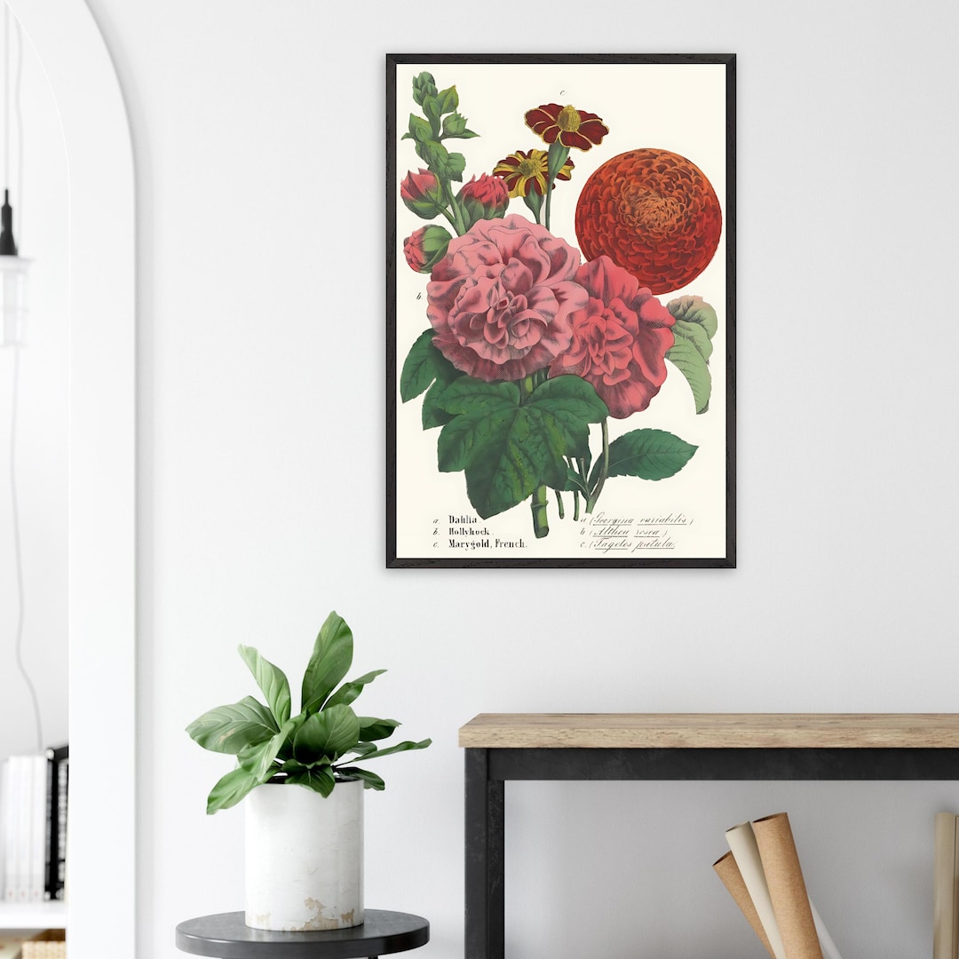 Vintage Botanical Poster, Pink Flowers Victorian Illustration, Floral ...