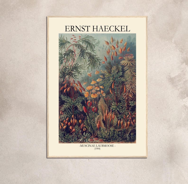 Ernst Haeckel Sea Life Print, Natural History Wall Art, Scientific ...