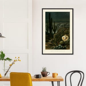 Vintage Cactus Flower Poster, Botanical Illustration Print, Antique ...