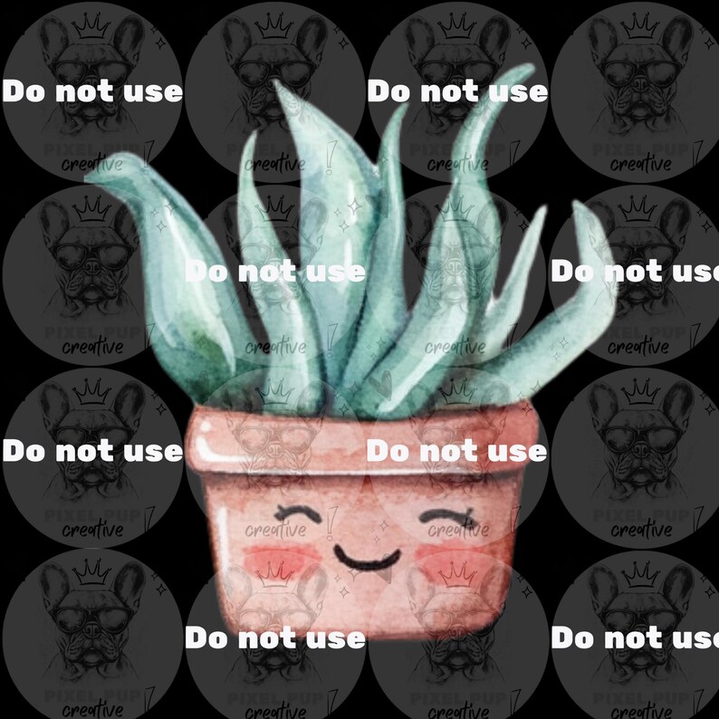 Kawaii Cactus & Succulent Clipart | Cute Potted Plant Pngs | 24 Images ...