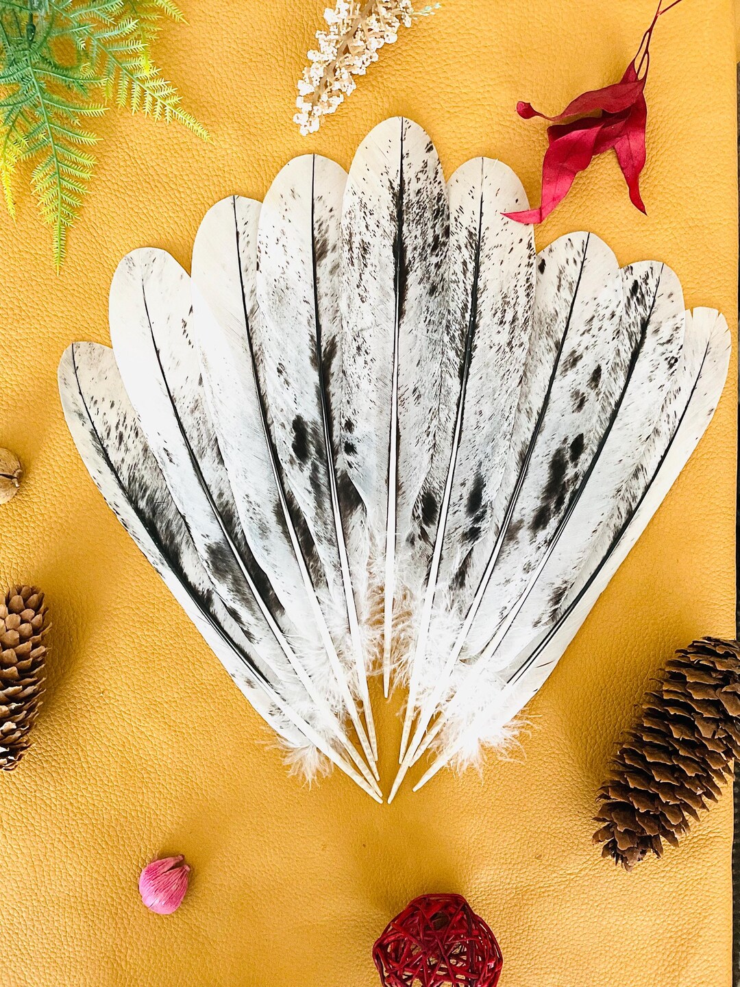Heritage Turkey Tail Feathers: 9 Piece Set for Regalia, Smudge Fan - Etsy