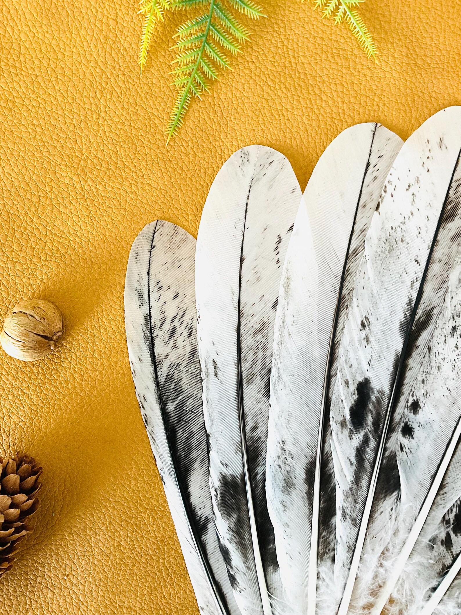 Heritage Turkey Tail Feathers: 9 Piece Set for Regalia, Smudge Fan - Etsy