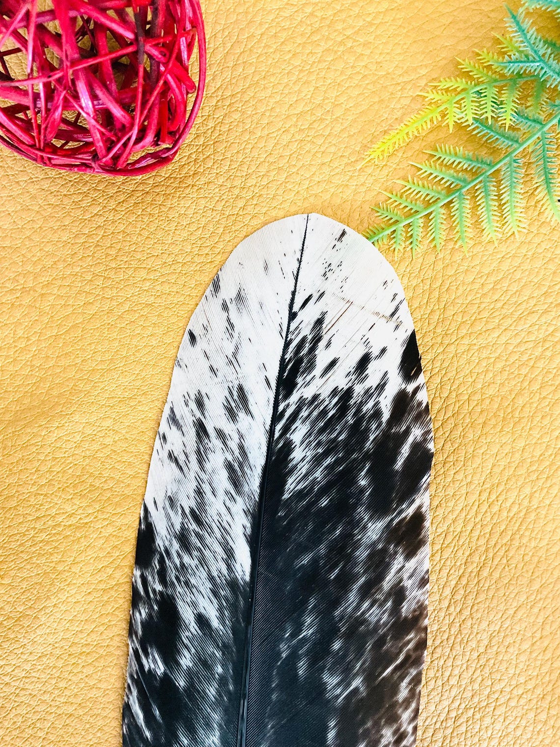 Hybrid Immature Bald Eagle Heritage Turkey Tail Feather for Smudge Fan ...