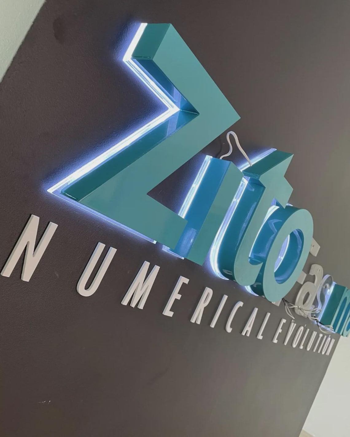 Custom Metal Signage, Halo Lit Storefront Signs, Backlit Business Sign ...