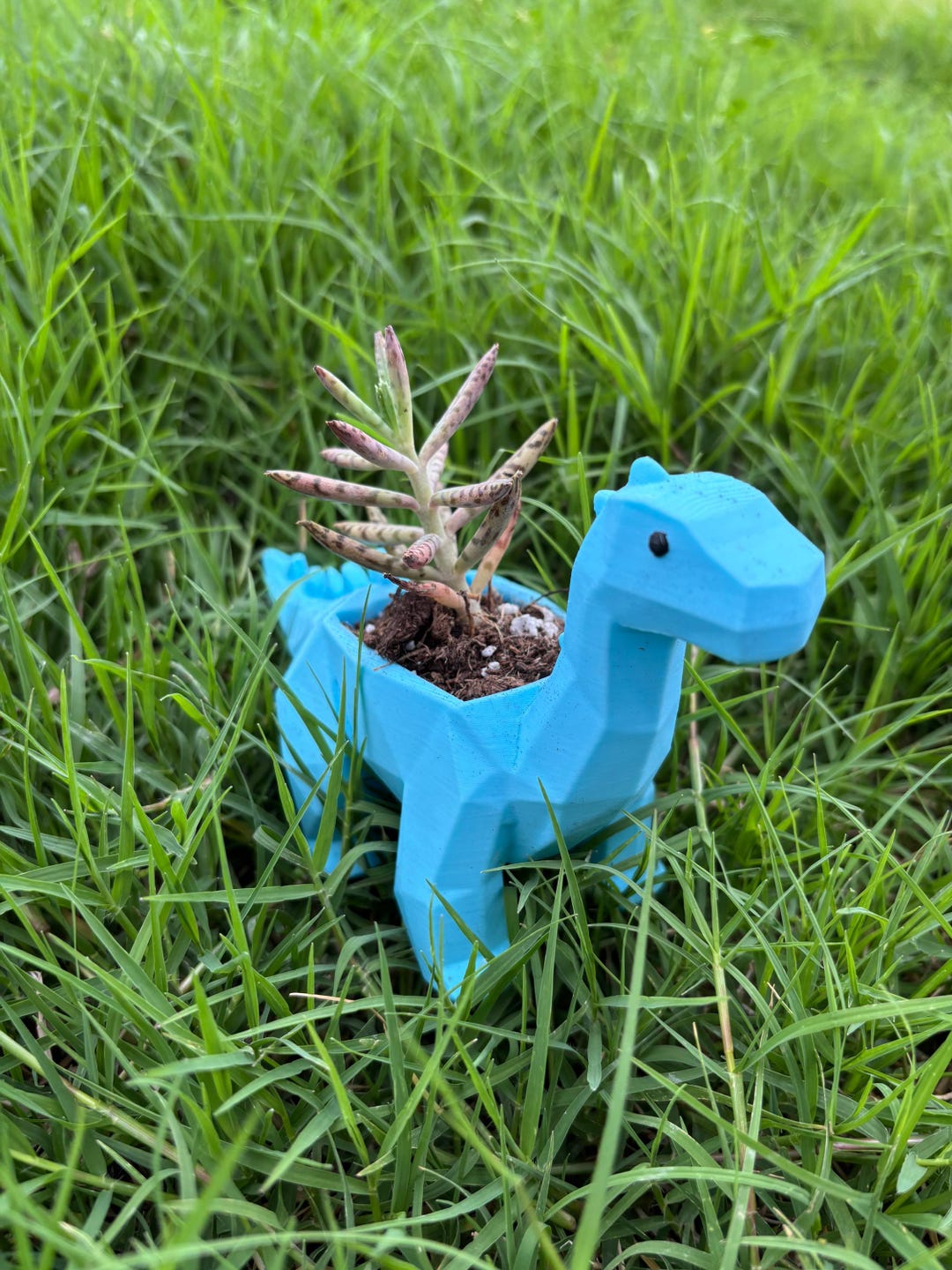 Dinosaur Planter: Small Succulent Planter, Desk Decor - Etsy