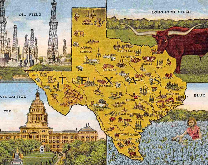 Map of Texas Longhorn Steer Blue Bonnets State Capitol Oil 1940s Linen ...