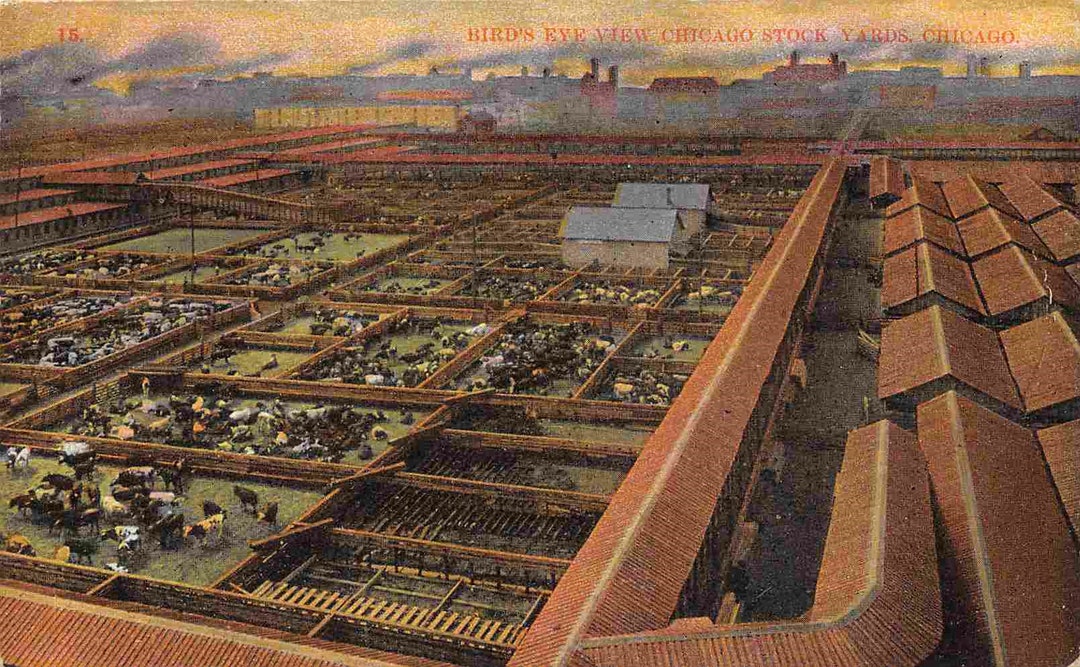 Union Stock Yards Birds Eye View Chicago Illinois 1910c Postcard - Etsy