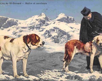 Swiss Postcard | Etsy