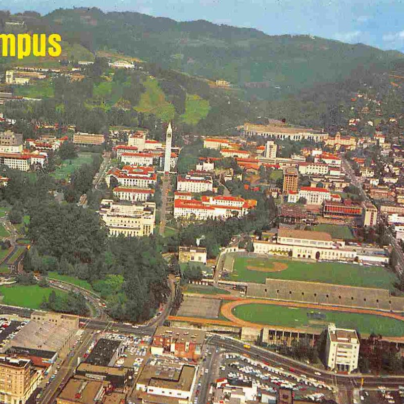 Uc Berkeley Vintage - Etsy