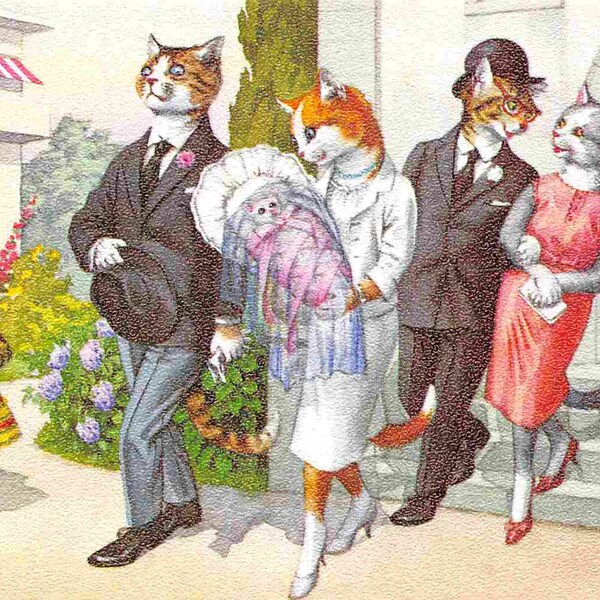 Dressed Cats - Etsy