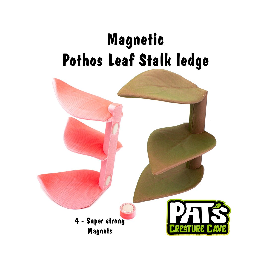 Magnetic Pothos Ledge - Plant Tank Decor - Frog Shelf - Gecko Enclosure ...
