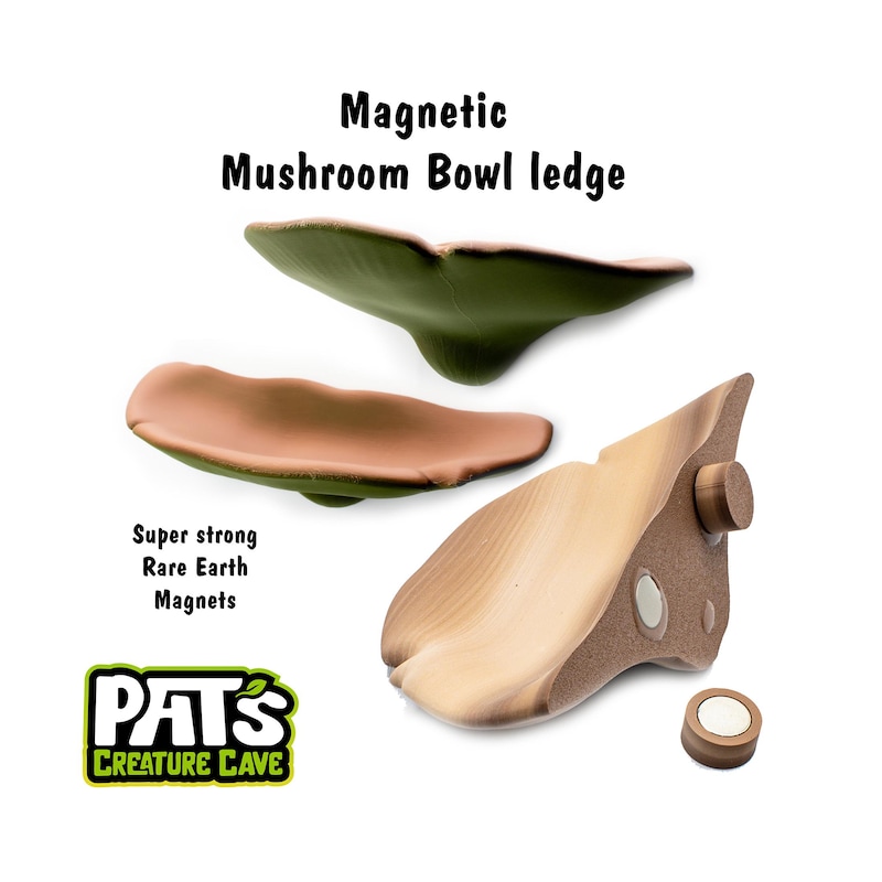 Frog Enclosure Magnetic - Etsy