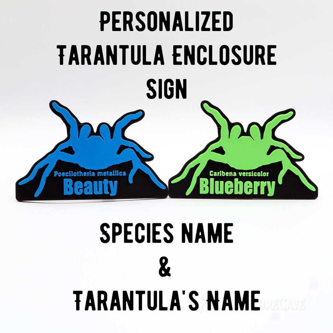 Personalized Tarantula Enclosure Sign - Tarantula Keeper Gift - Custom ...