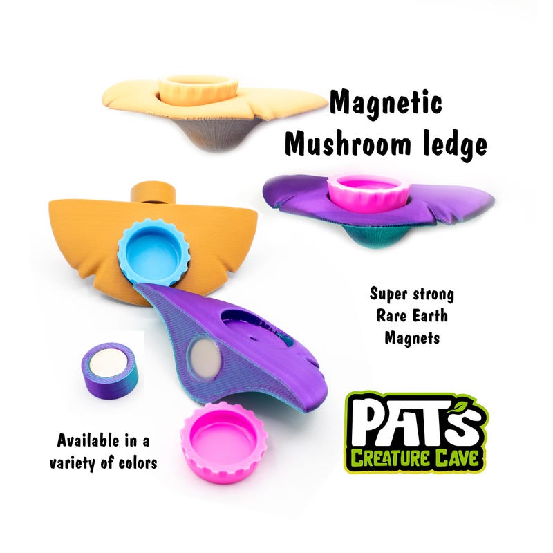 Magnetic Food Ledge Gecko - Etsy