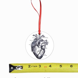 Anatomical Heart Christmas Ornament: Medical/nursing Student Gift - Etsy